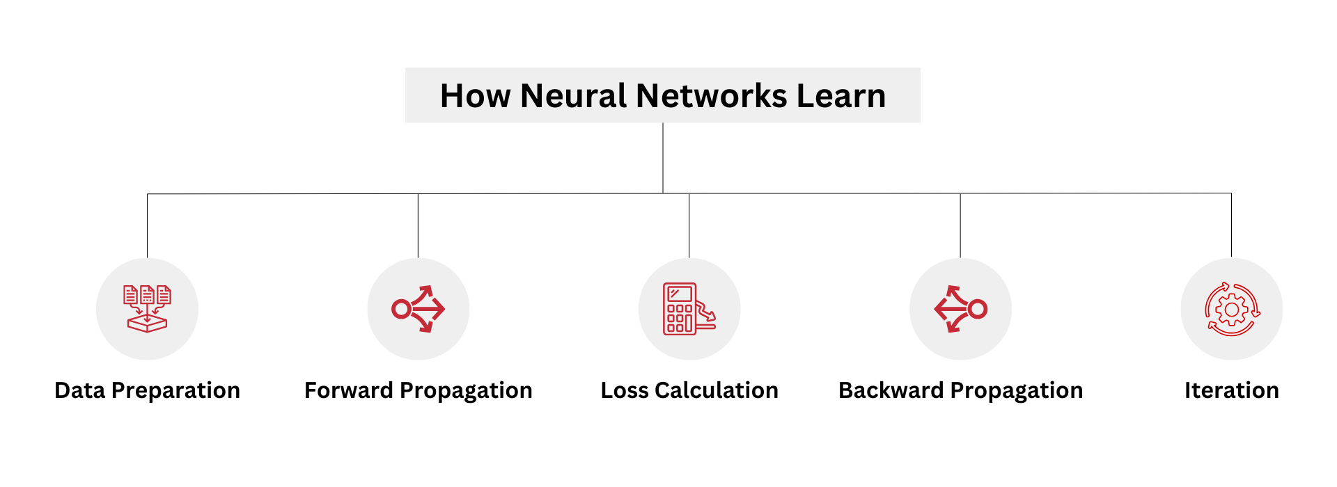 The Ultimate Guide to Understanding Neural Networks